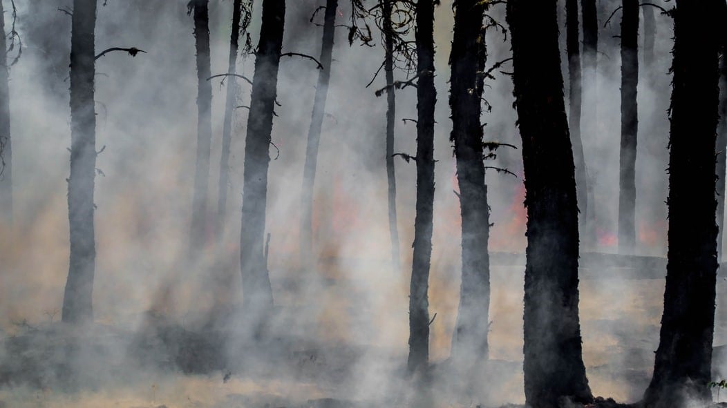 A Guide to Understanding Particulate Matter (PM)